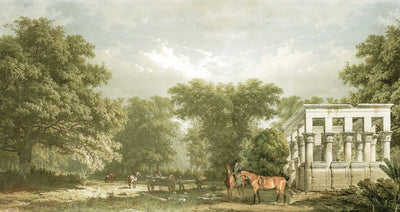 Vintage Scenic Victorian Wall Mural, Large Green Nature Wallpaper, Non ...